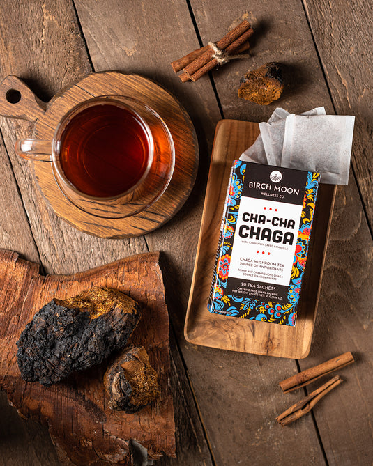 What is chaga mushroom? – Birch Moon Wellness Co.