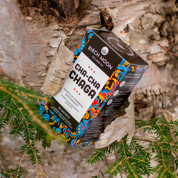 What is chaga mushroom? – Birch Moon Wellness Co.