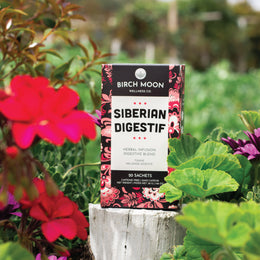 Siberian Digestif - Detox Tea | Birch Moon Wellness Teas – Birch Moon Wellness Co.